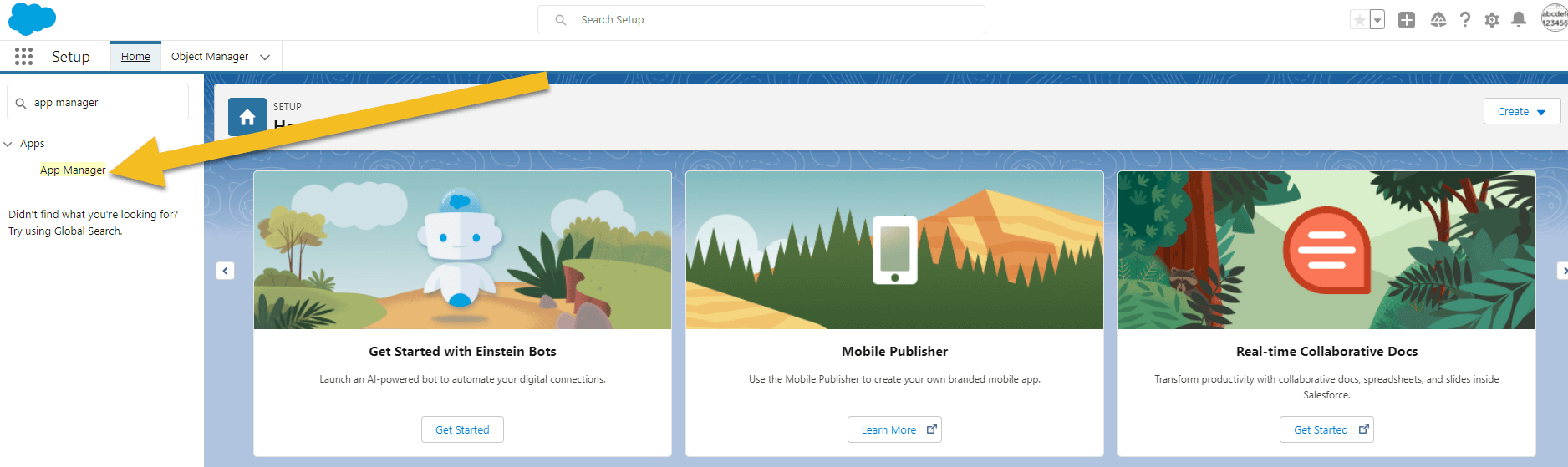 Salesforce App Manager in Setup